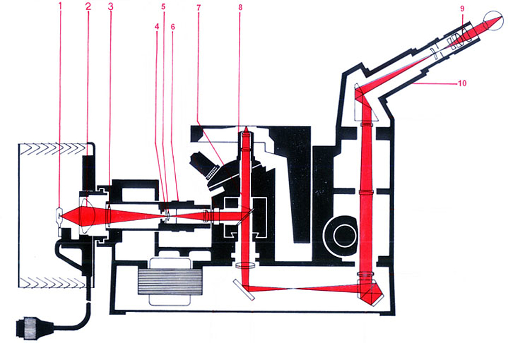 Optical path of a microscope | HS Mittweida